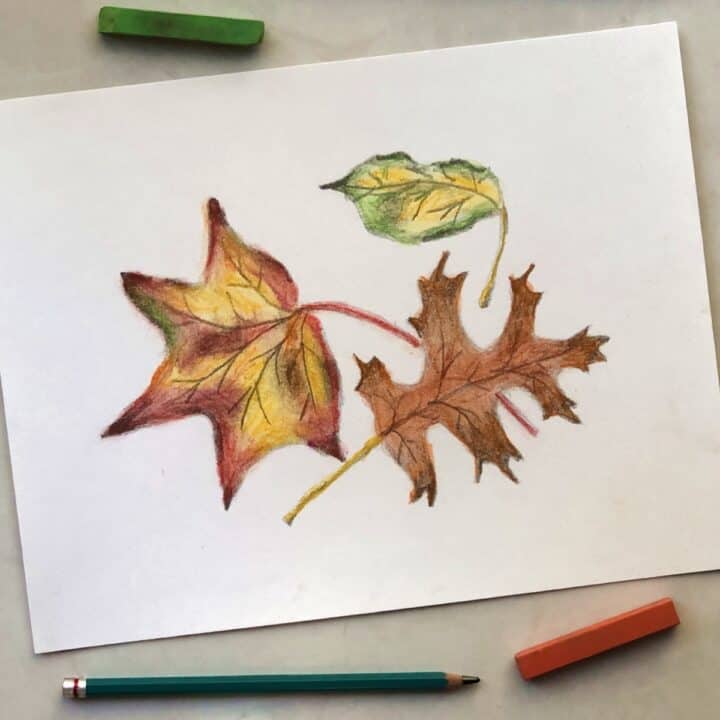 Draw Easy Fall Leaves Step-by-step (Realistic Autumn Leaf Sketch ...
