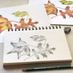 Draw Easy Fall Leaves Step-by-step (Realistic Autumn Leaf Sketch ...