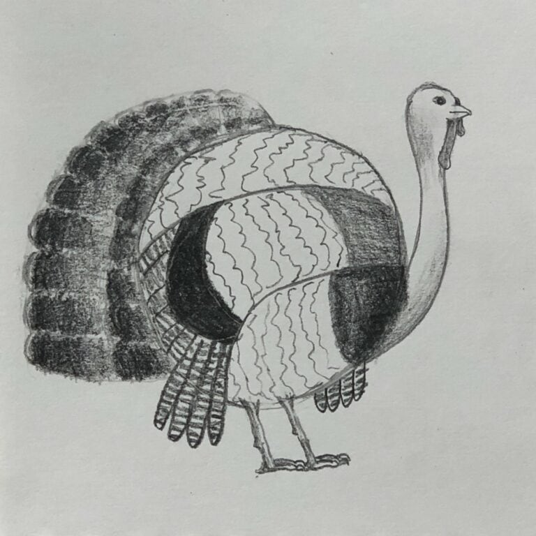 How to Draw a Real Thanksgiving Turkey Easy Step-by-step - artlooklearn.com