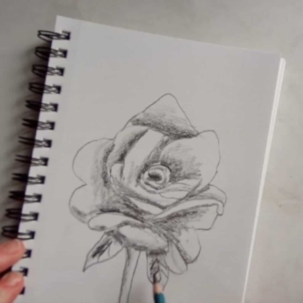 How to Draw an Easy Rose Step-by-step - artlooklearn.com