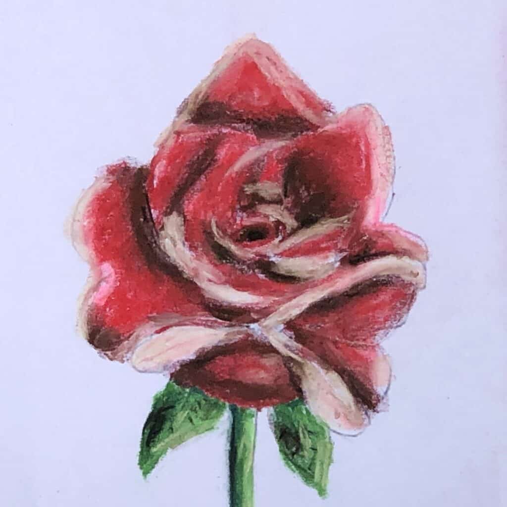 How to Draw an Easy Rose Step-by-step - artlooklearn.com