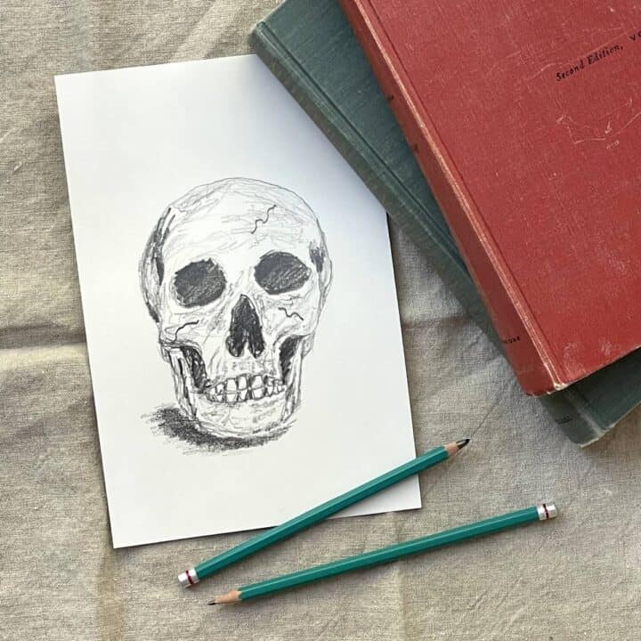 How to Draw a Skull Step by Step - artlooklearn.com