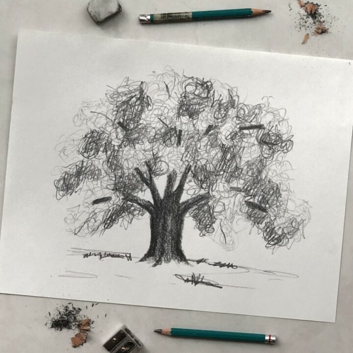 Sketch an Easy Oak Tree Pencil Drawing - artlooklearn.com