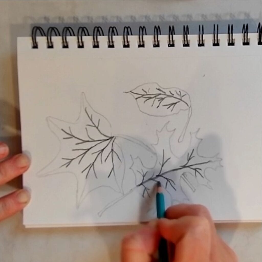 Draw Easy Fall Leaves Step-by-step (Realistic Autumn Leaf Sketch ...