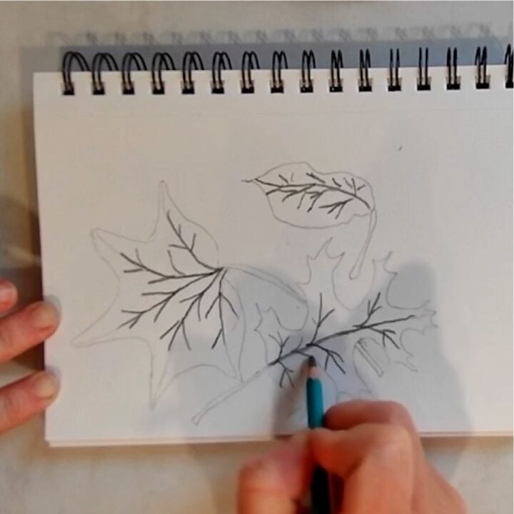 Draw Easy Fall Leaves Step-by-step (Realistic Autumn Leaf Sketch ...